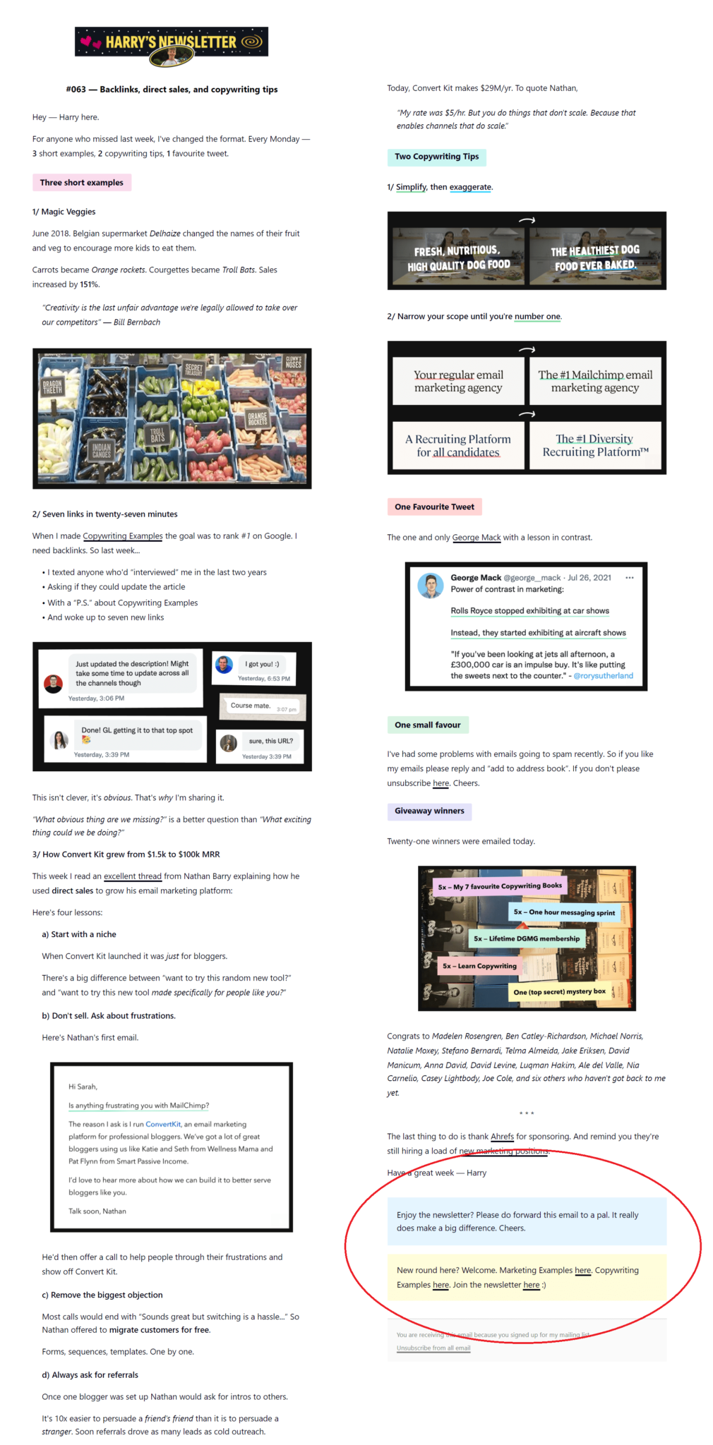29 Fantastic Newsletter Examples