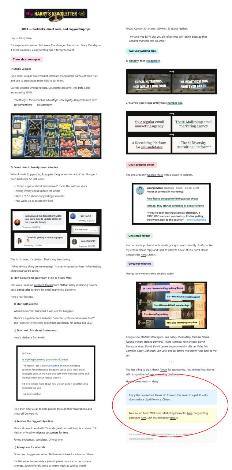 29 Fantastic Newsletter Examples
