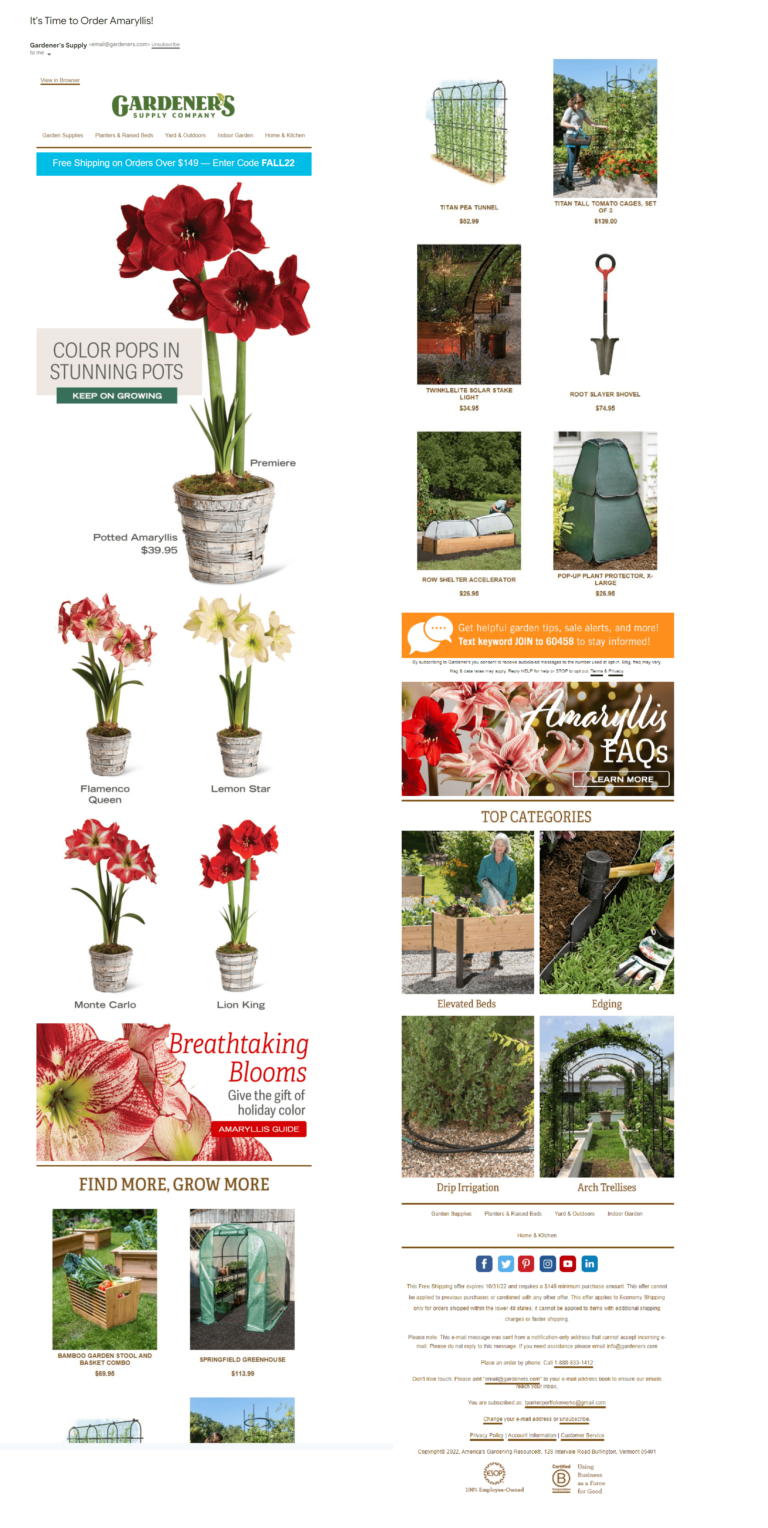 63 Christmas Newsletter Ideas and Templates to Rock Your Socks