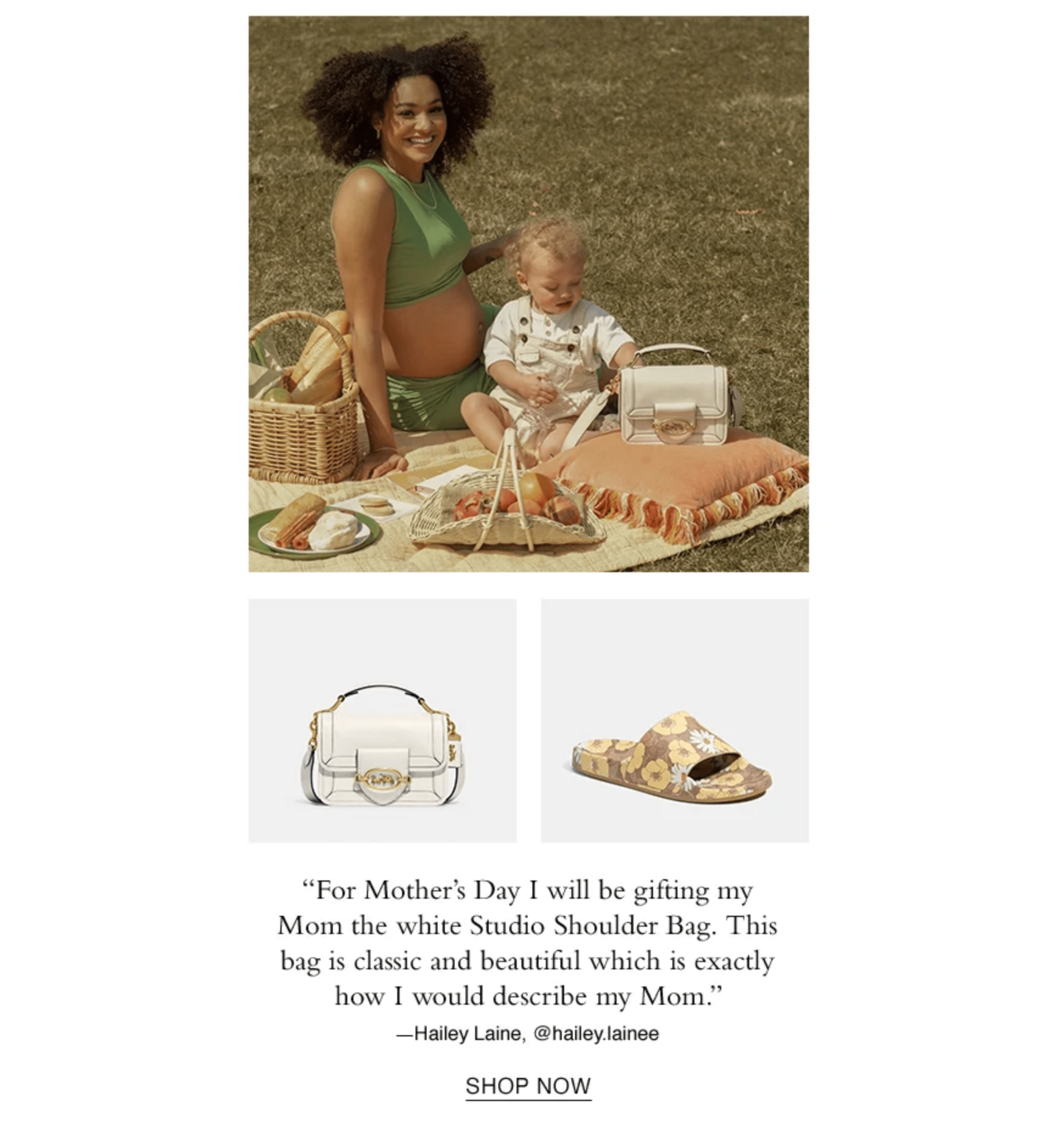 30+ Mother's Day Email Campaign Examples and Subject Line Ideas