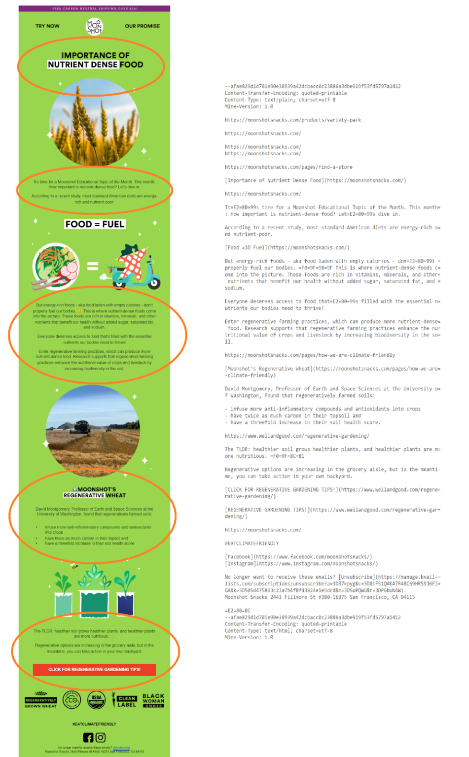 Best Fonts for Newsletters: An Email Fonts Conversion Guide