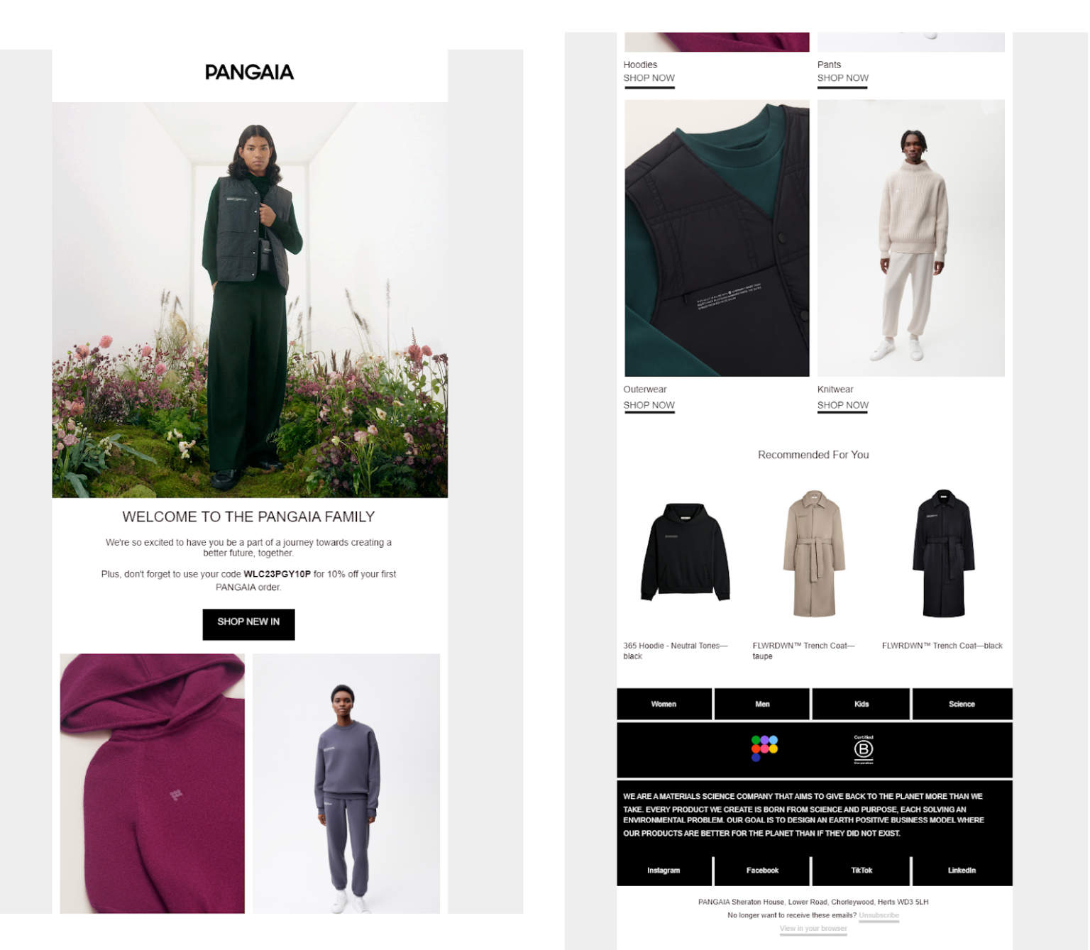 How to create sustainable email marketing campaigns